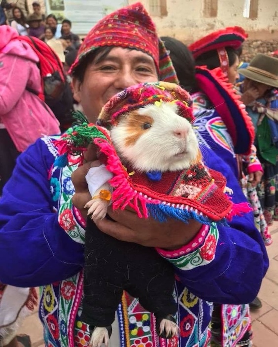 Peruvian Cuy: An Iconic Culinary and Cultural Tradition